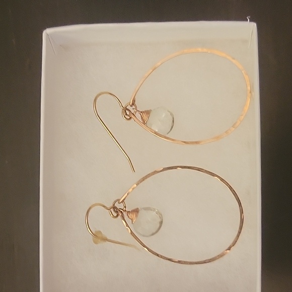 Delia Langan | Jewelry | Delia Langan Rose Gold Hoops | Poshmark